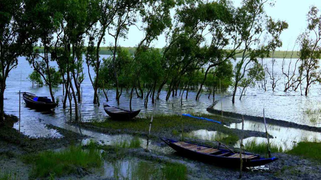 World Wetlands Day: India Adds Two Ramsar Sites - Tatsat Chronicle Magazine