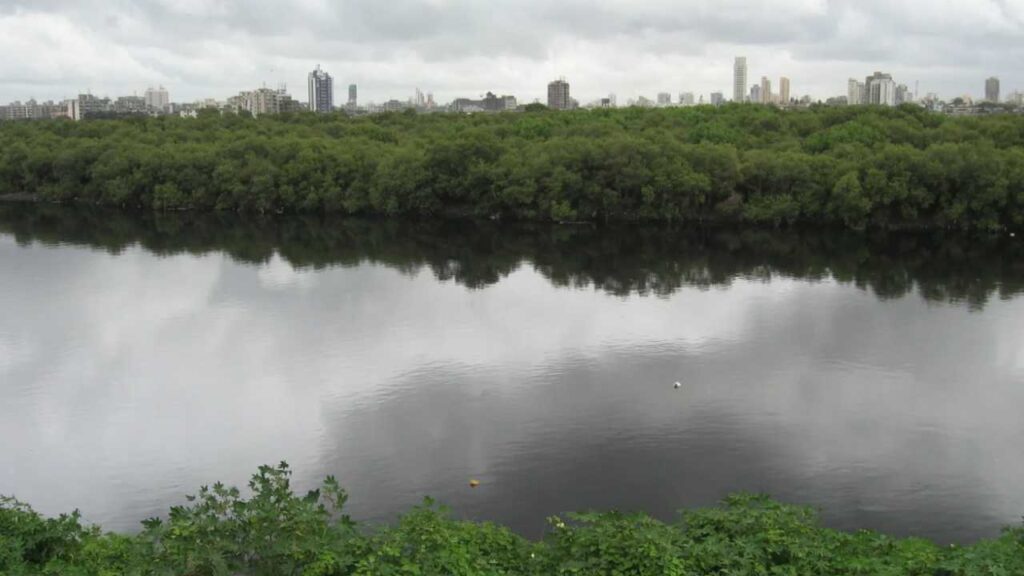 Mumbai’s Mithi River Polluted for Past 11 Years, Finds MPCB - Tatsat ...