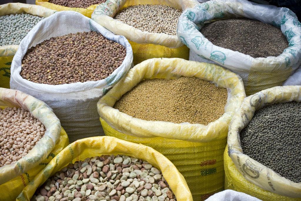 Agricultural Exports Rise By 25 Tatsat Chronicle Magazine Agricultural Exports Rise By 25 Tatsat Chronicle Magazine