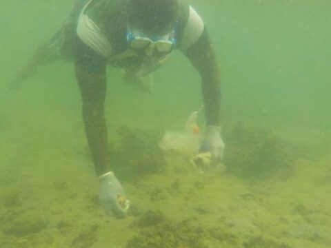Scuba Divers Clean Up Coral Reefs Off The Coast Of Tamil Nadu