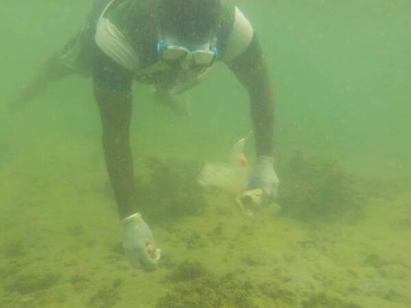 Scuba Divers Clean Up Coral Reefs Off The Coast Of Tamil Nadu